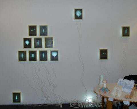 Mark Karasick Traces